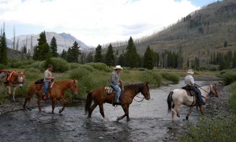 Red Lodge Horseback Riding, Horse Trail Rides - AllTrips